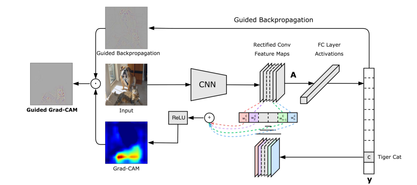 神经网络的可解释性（可视化篇）：CAM/Grad-CAM/Grad-CAM++及相关代码（TensorFlow和Pytorch） - 知乎