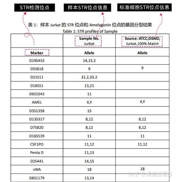 STR鉴定报告数据解读指南 - 知乎