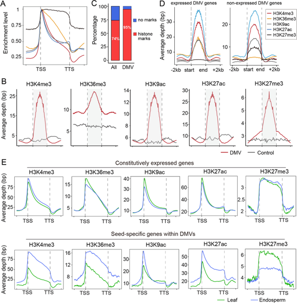 转录组测序（RNA-seq）+DNA甲基化（WGBS）+组蛋白修饰ChIP-seq揭示蓖麻DNA甲基化谷对种子特异性基因表达的表观遗传调控分子 ...