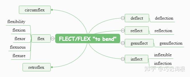 词根系列 | FLECT/FLEX "to bend" - 知乎