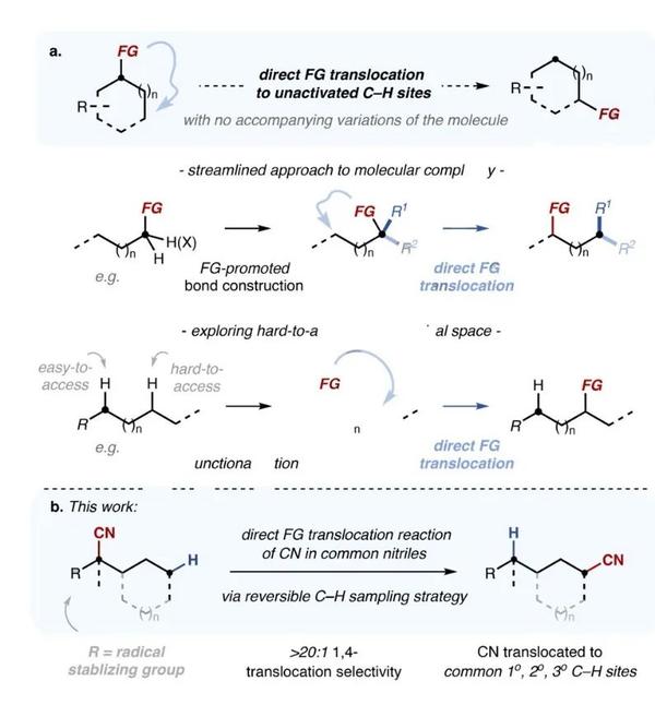 C-H活化再登Nature，90后导师新作：新型C-H活化机制助力CN定向易位转化 - 知乎