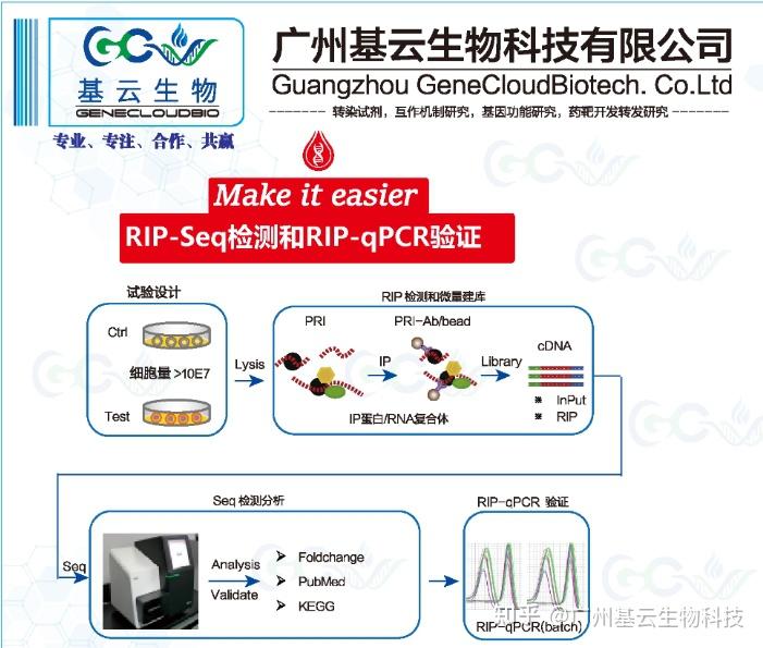 RIP-qPCR实验验证技术 - 知乎