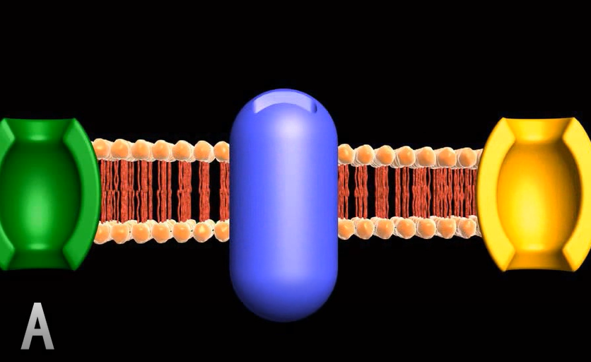 GABA受体药物 | 芥末药学堂 - 知乎