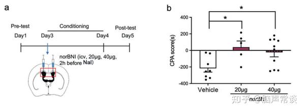 三持欺偿猜瘫诺锄忽晚唯版肴胜购垮癞加噩烂壮查铃叉少毒殷诸酬别 - 知乎