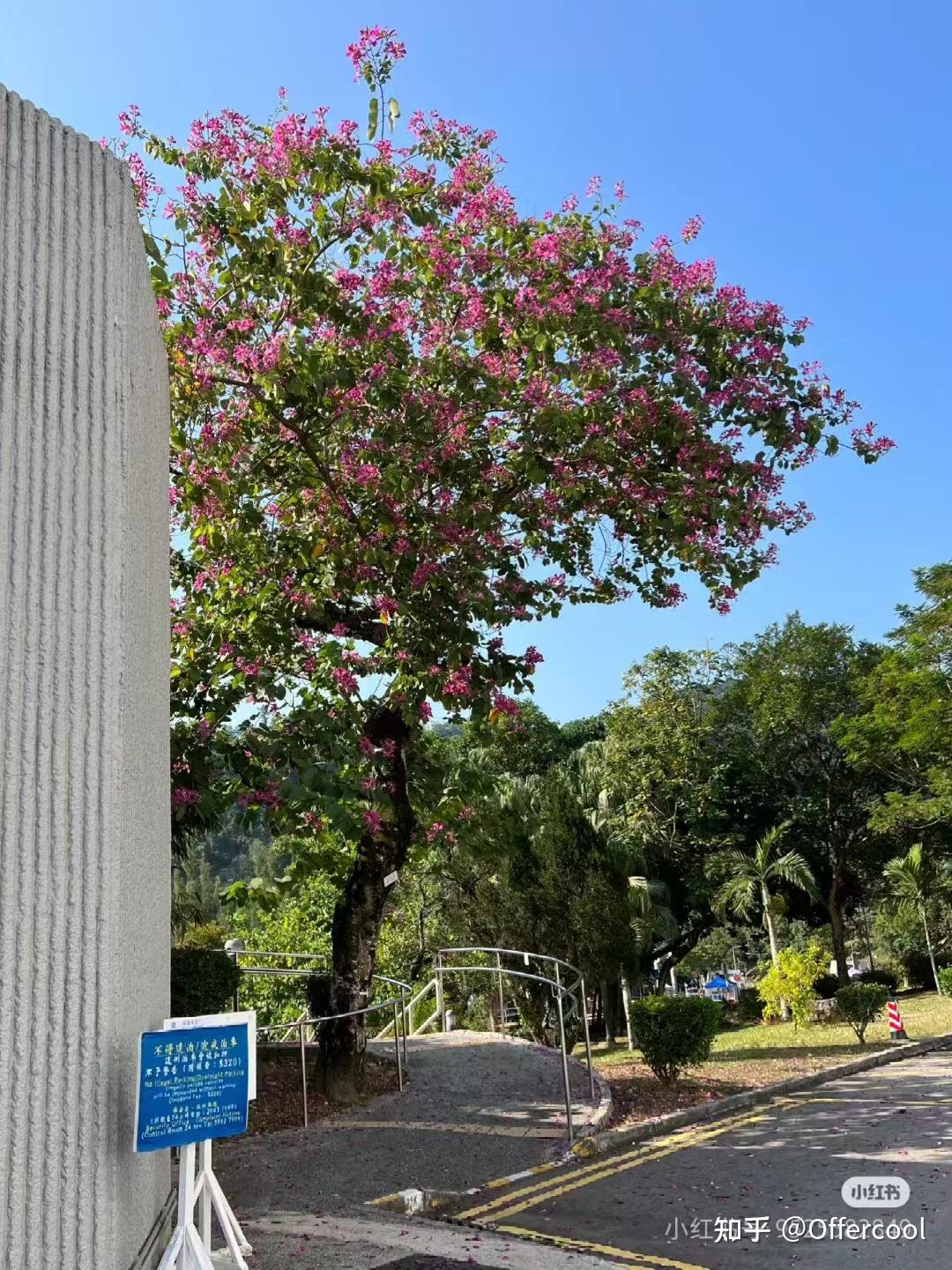 24fall至今0offer，3个补救办法 - 知乎