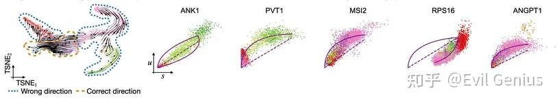 课前准备-单细胞新版velocity（cellrank 2） - 知乎
