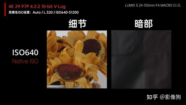 松下S5M2自动对焦变好了？宽容度、高感、画质全面测评 - 知乎