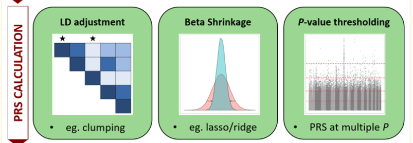 开局一张图 | 介绍PRS的计算步骤 - 知乎