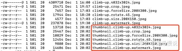 【Java实例】使用Thumbnailator生成缩略图（缩放、旋转、裁剪、水印） - 知乎