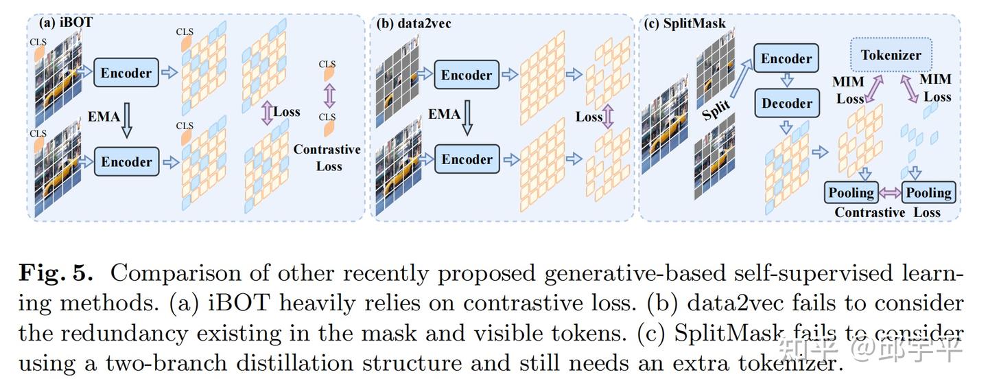 【论文阅读】SdAE: Self-distillated Masked Autoencoder - 知乎