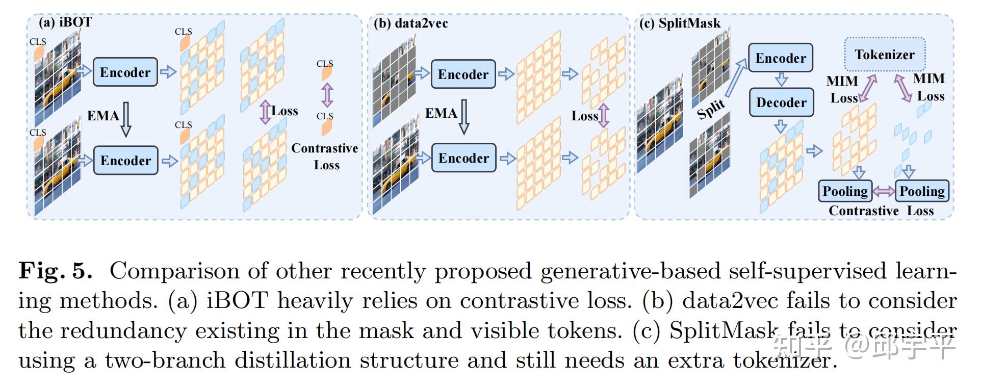 【论文阅读】sdae Self Distillated Masked Autoencoder 知乎