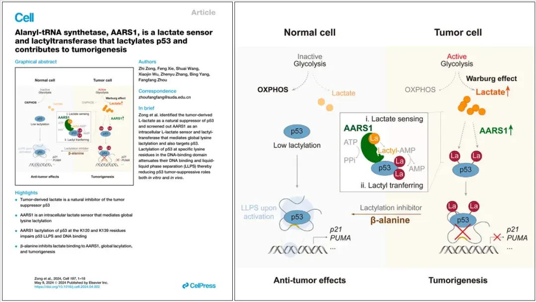 6*Cell，3*Nature，景杰生物2024年合作发表9篇CNS正刊 - 知乎