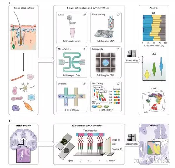 Nature重磅综述 |关于RNA-seq，你想知道的都在这 - 知乎