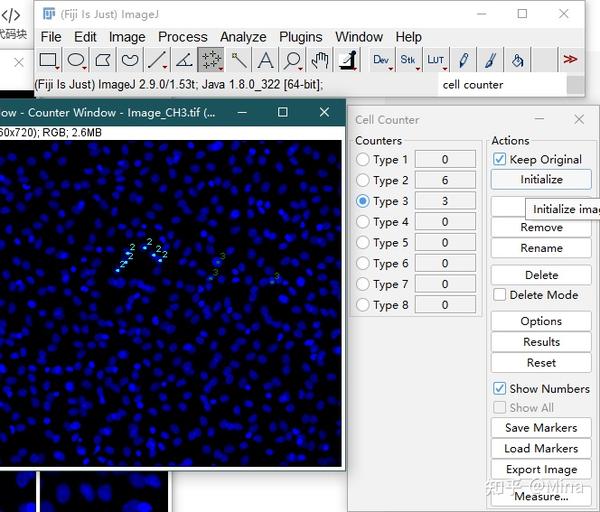 ImageJ 使用教程：1.细胞计数 - 知乎
