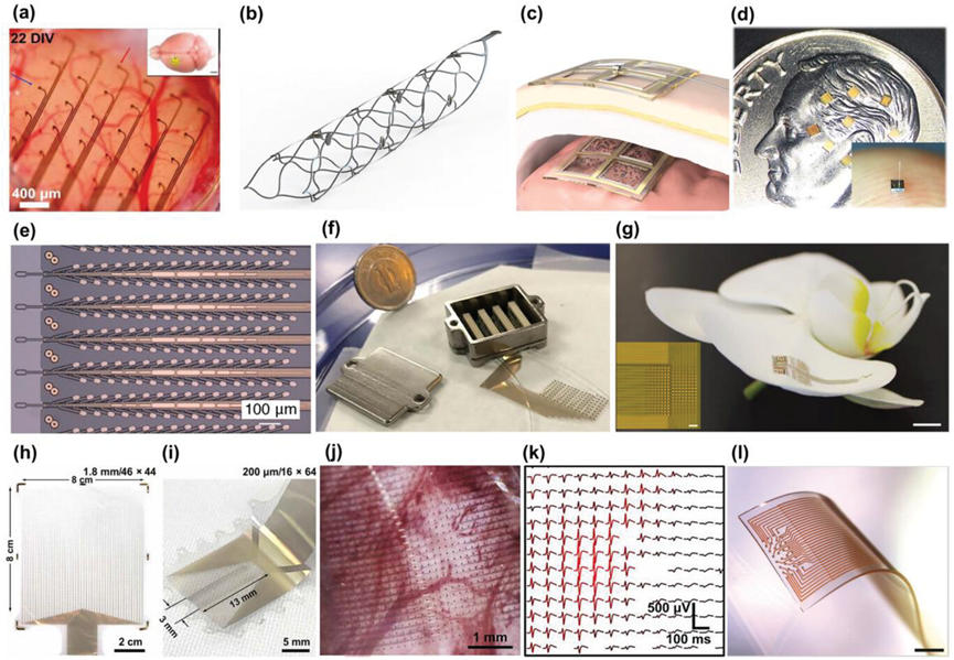 [35] 脑机接口系统柔性电极 - 知乎