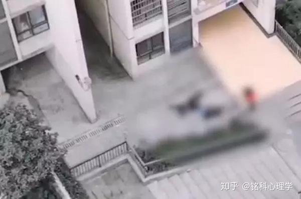 重庆 跳楼砸死人”悲剧重演,家人的心理健康同样值得关注 知乎