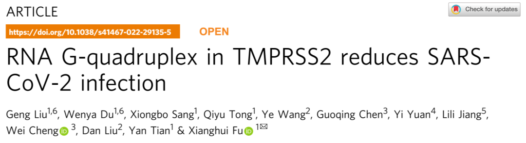 Nat Commun︱傅湘辉团队发现RG4有望成为新冠防治新靶点 - 知乎