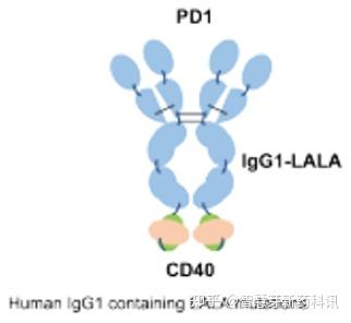 PD-1多靶点药物研发进展一览 - 知乎