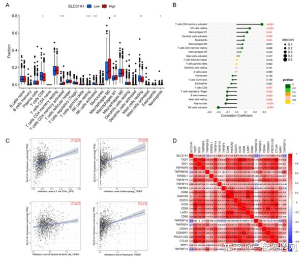 铜死亡热点：单基因肿瘤纯生信分析发表BMC bioinformatics！ - 知乎