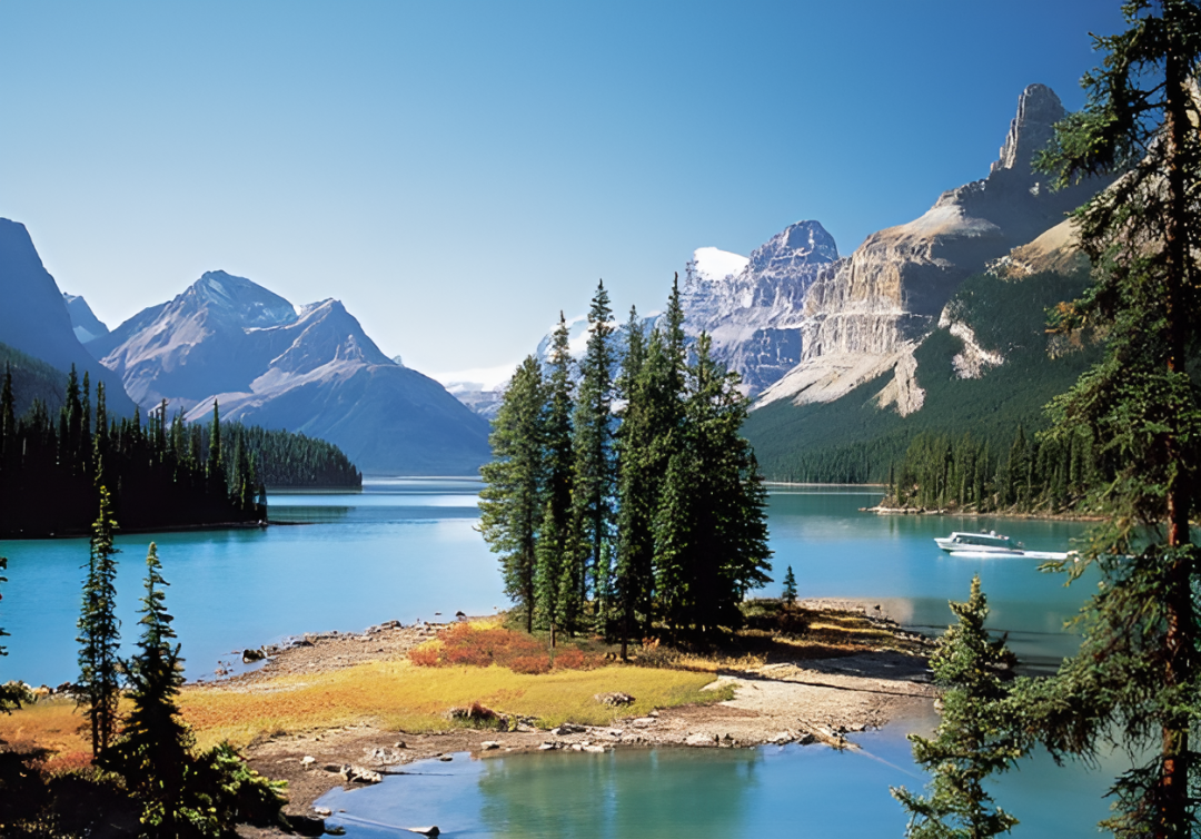 藏在成都茶馆里的中年觉醒：我先是我自己 - 知乎