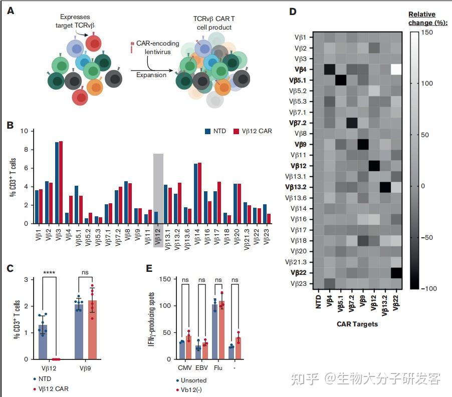 经典CAR分子的选择—全人源scFv抗体分子 - 知乎