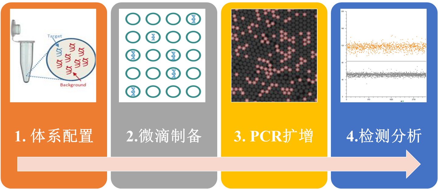 ddPCR介绍 - 知乎