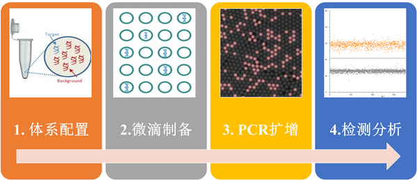 ddPCR介绍 - 知乎
