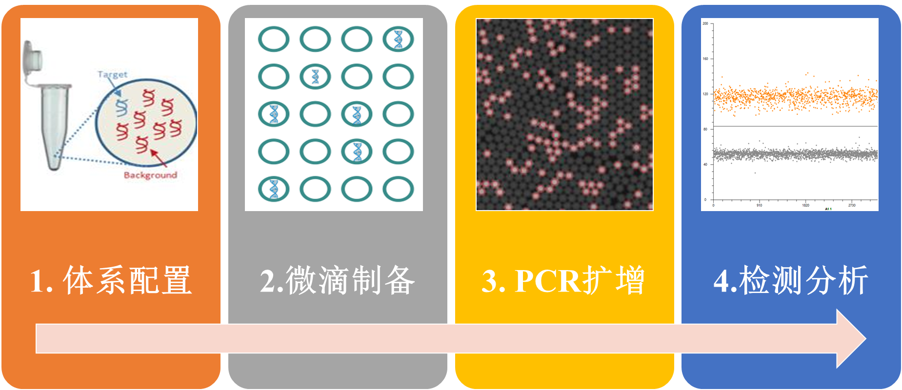 ddPCR介绍 - 知乎
