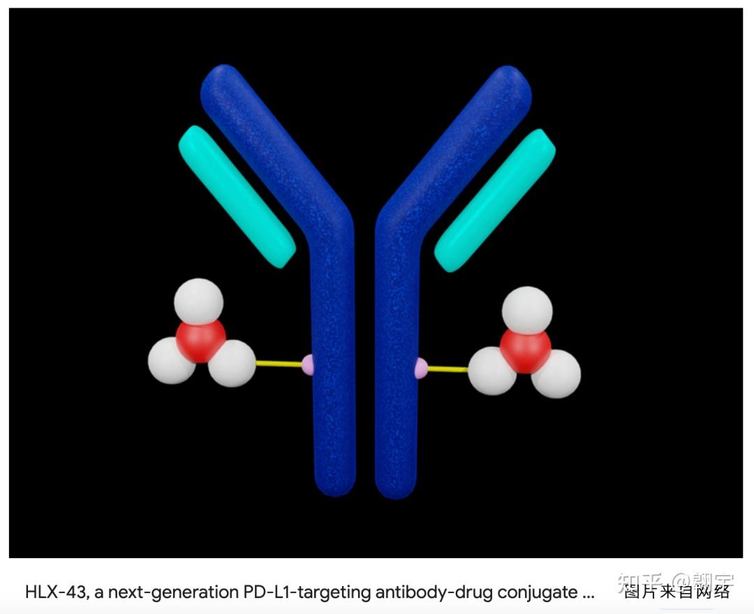高配版本的ADC抗癌药，靶向PD-L1的抗体偶联药HLX43可用于多种实体肿瘤，首个患者开始用药！ - 知乎