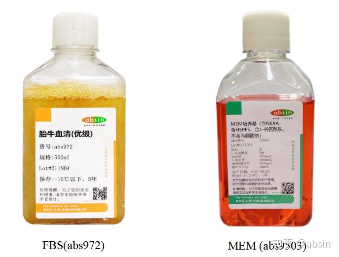 Caco-2细胞培养攻略 - 知乎