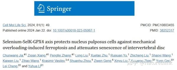 Selenium-SelK-GPX4 轴保护髓核细胞免受机械超负荷诱导的铁死亡并减缓椎间盘衰老 - 知乎
