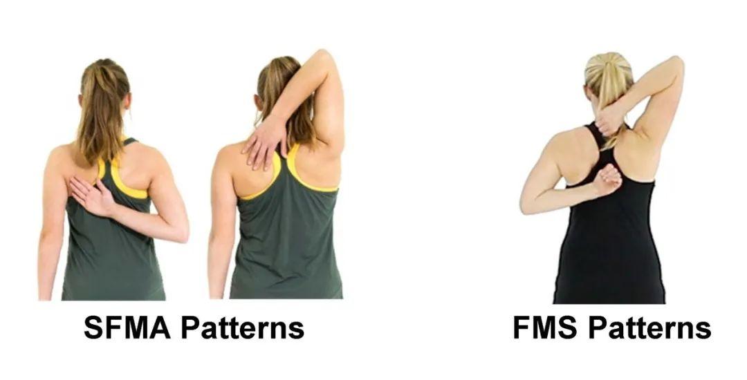 FMS 和 SFMA：我何时应该使用哪一个？ - 知乎