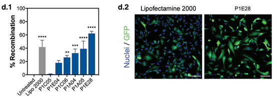 【耀文解读】mRNA递送篇|组织靶向性聚合物纳米颗粒的高通量筛选 - 知乎
