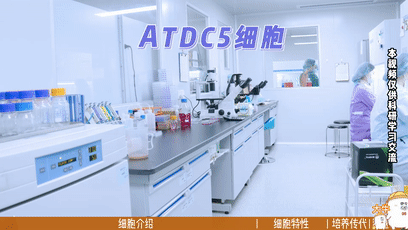 ATDC5细胞培养，小鼠胚胎瘤细胞培养攻略 - 丰晖生物 - 知乎