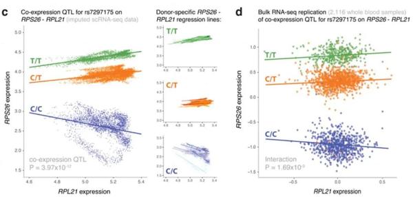 单细胞eQTL分析 | 启航单细胞多组学大数据时代 - 知乎