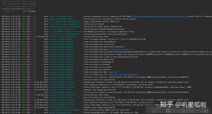 Java手写一个RPC框架(Spring-boot-starter)——基于Netty、Zookeeper - 知乎