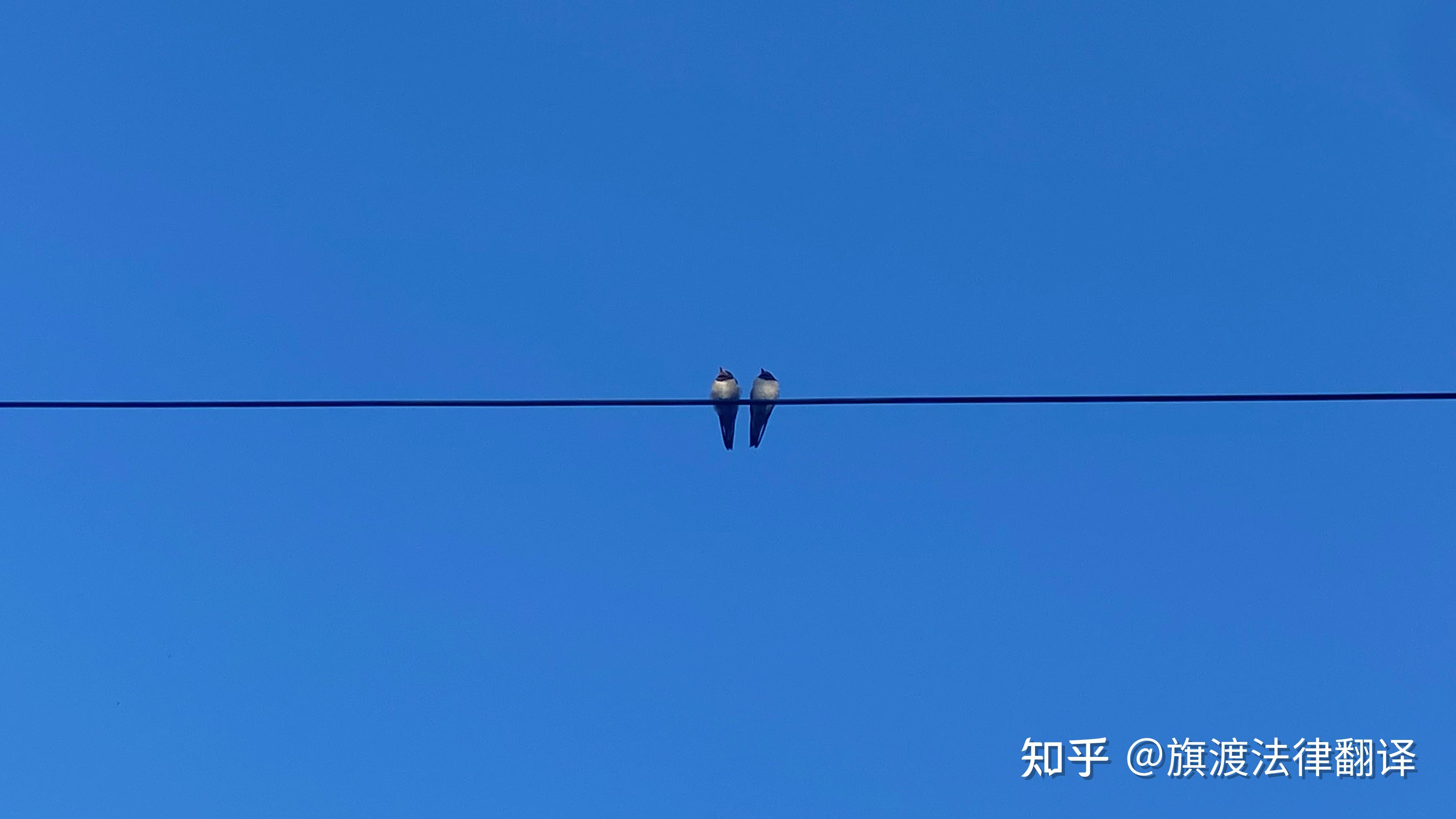 区分法律英语中的force majeure、fortuitous event和act of God - 知乎