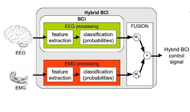 基于脑电波（EEG）的脑机接口（BCI）技术的医学和日常应用及挑战(2) - 知乎