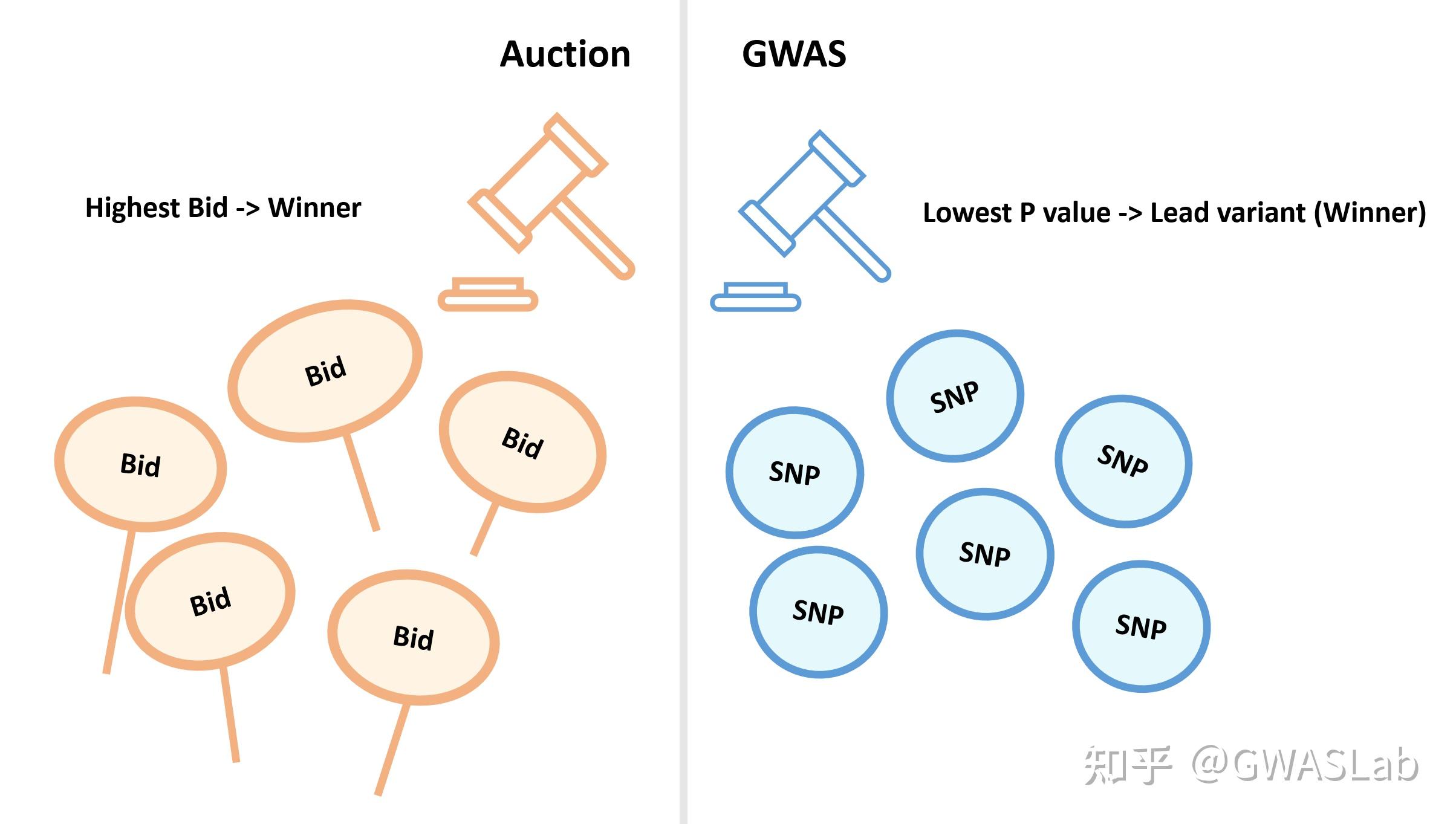 GWAS中的赢家诅咒与其校正 Winner's curse correction - 知乎