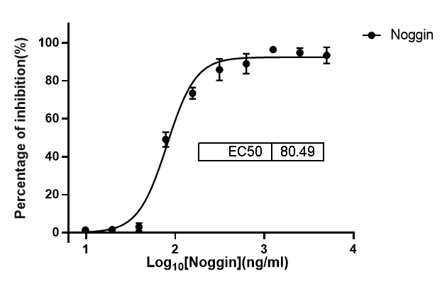 BMP蛋白通路检测与Noggin蛋白活性检测 - 知乎