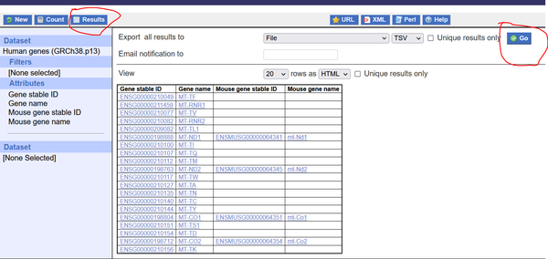 Ensemble官网BioMart及R语言biomaRt包获取人鼠同源基因 - 知乎