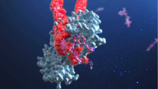 打破“双十定律”，华为云AI推动超级抗菌药Drug X研发加速 - 知乎