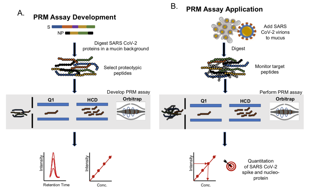 靶向蛋白质组PRM助力新冠病毒检测 - 知乎
