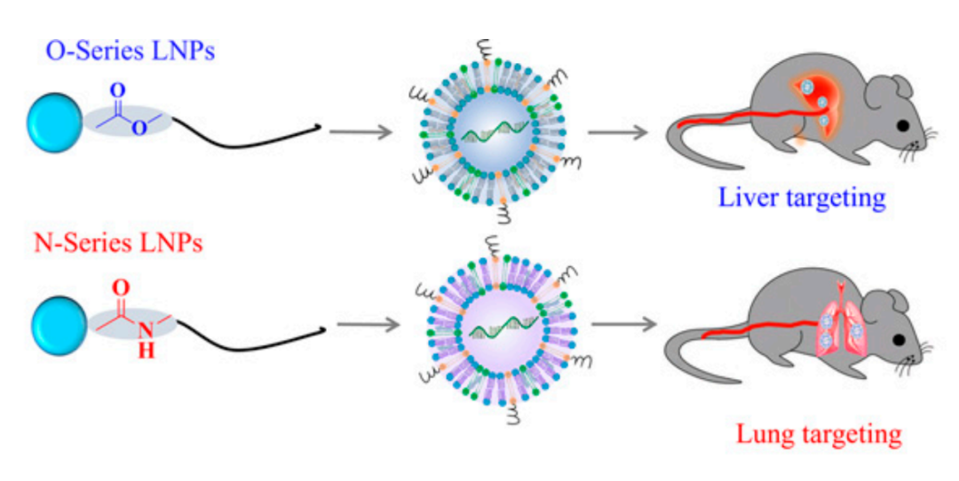 淋巴结靶向的LNP-mRNA癌症疫苗，可清除肿瘤并防止复发 - 知乎