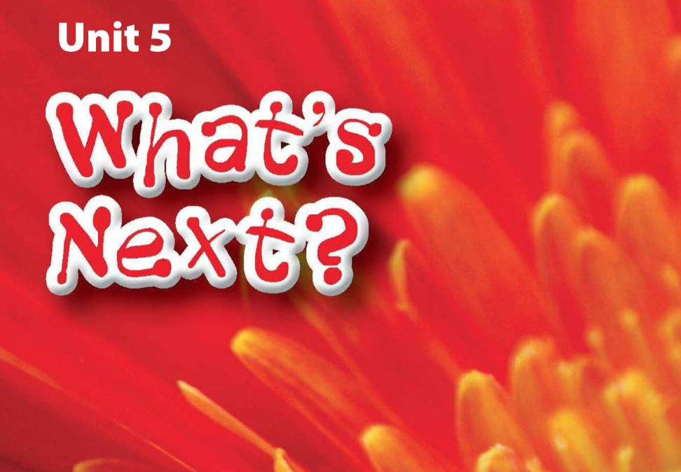 Wonders G5 文化脉络 - 知乎