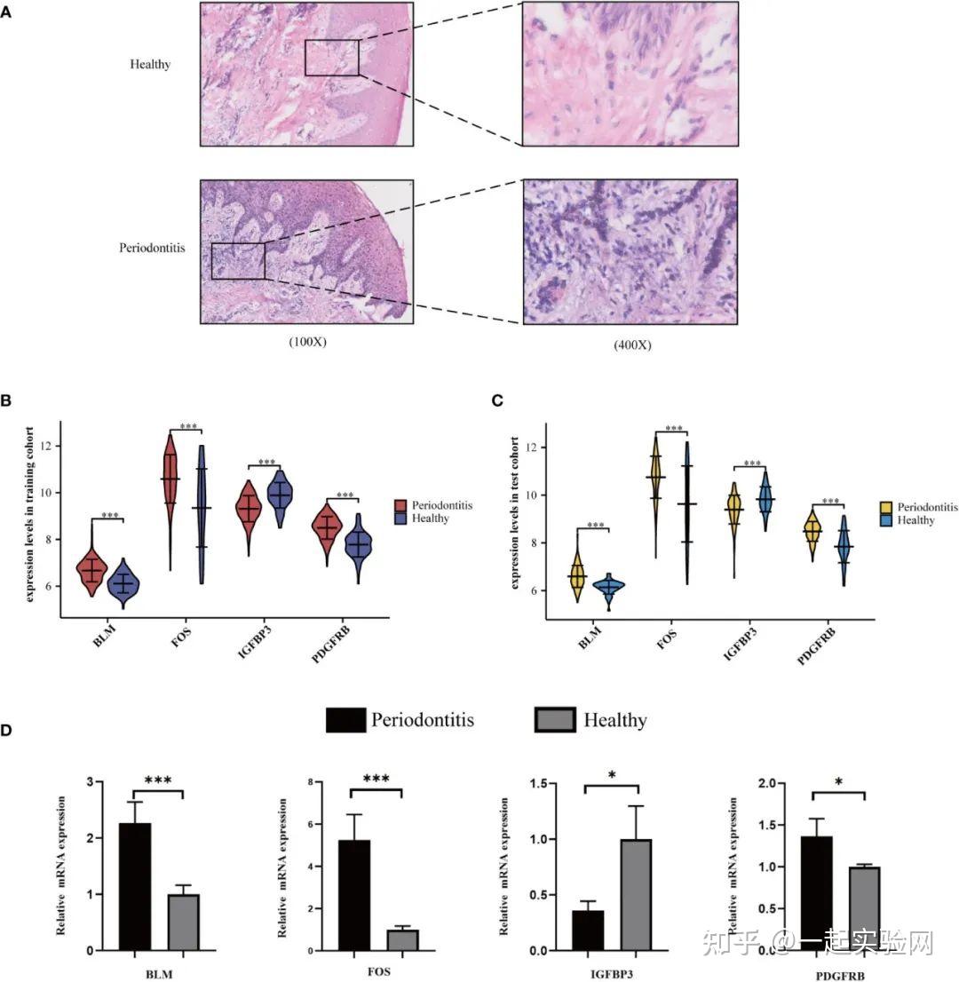 5+ 非肿瘤免疫相关又来新方向了 - 知乎