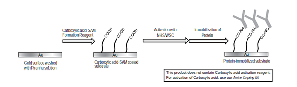 SAM试剂与生物材料 - 知乎