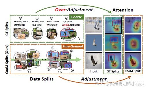 文献笔记 | 【ICCV 2021】Causal Attention for Unbiased Visual Recognition - 知乎