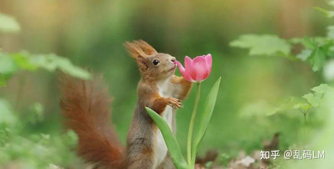 词汇就是力量 024 | redolent - 知乎