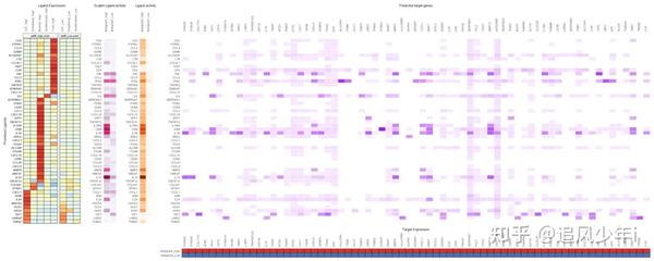 10X单细胞（10X空间转录组）通讯分析之总结Nichenet多条件差异通讯 - 知乎